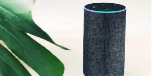 Does Alexa work with Google Chromecast? | My Dream Haus