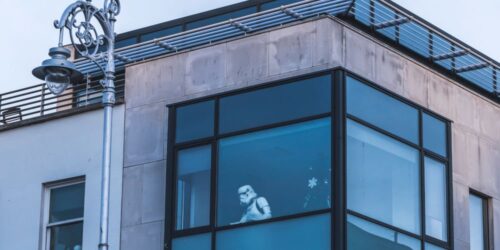 House cladding ideas: A guide to exterior finishes | My Dream Haus